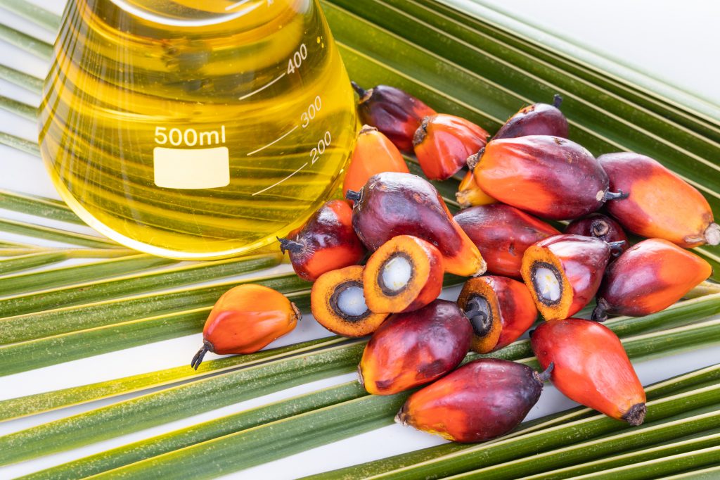 料理で使う油の種類－今さら聞けない油の疑問を解説します | 日清オイリオ業務用お役立ちサイト｜日清オイリオ